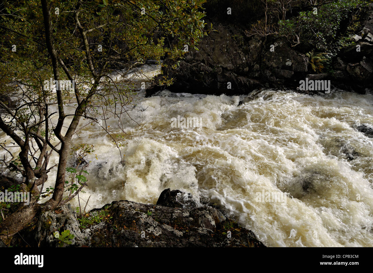 A torrent of white water rushes down the narrow Falls of Leny near ...