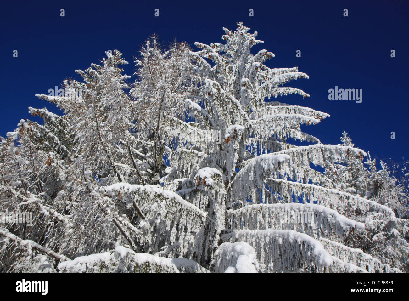 Winter landscape alps hi-res stock photography and images - Alamy