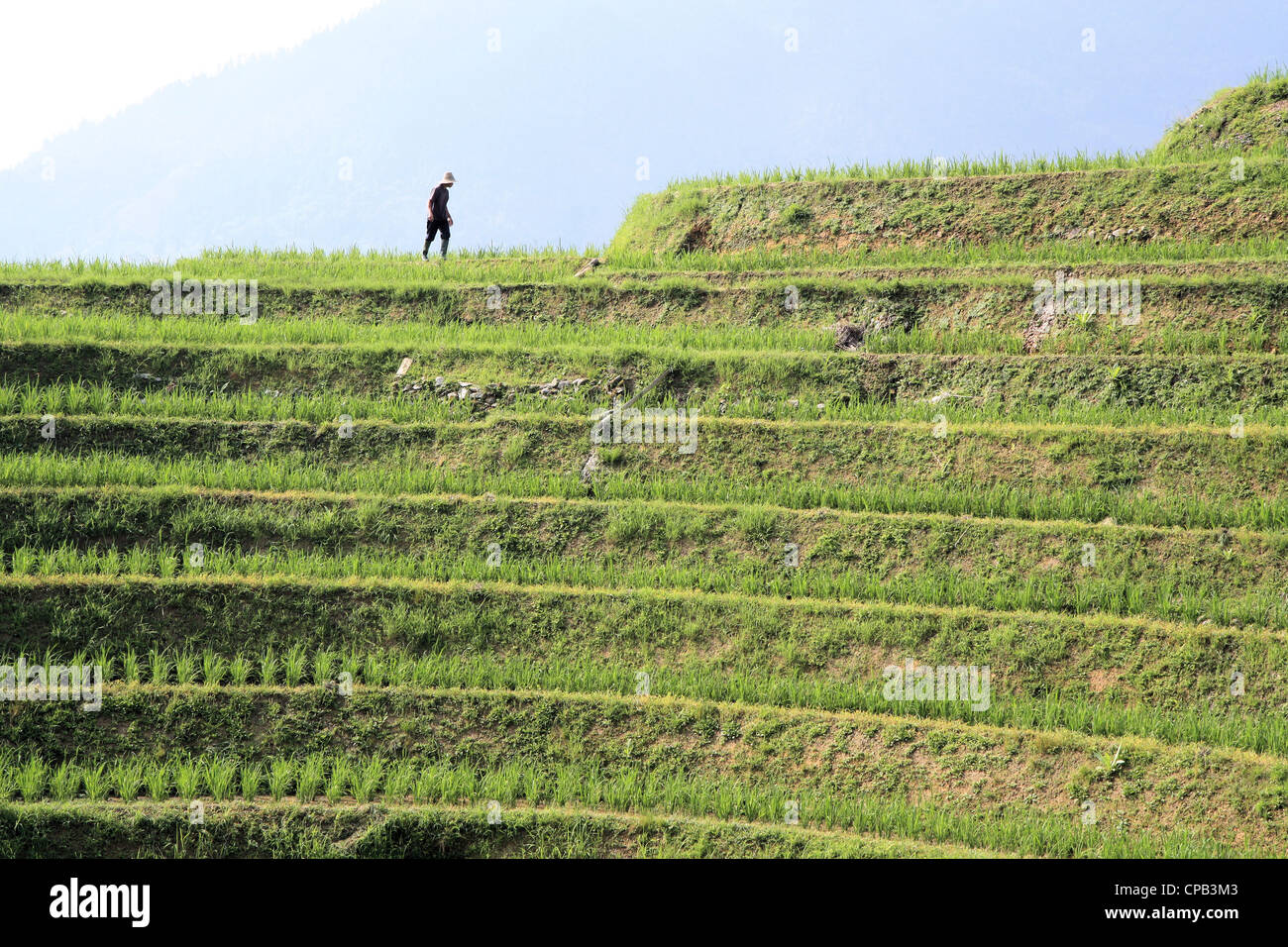 Irrigated rice terrace fields , Pingan , Changxi , China Stock Photo ...