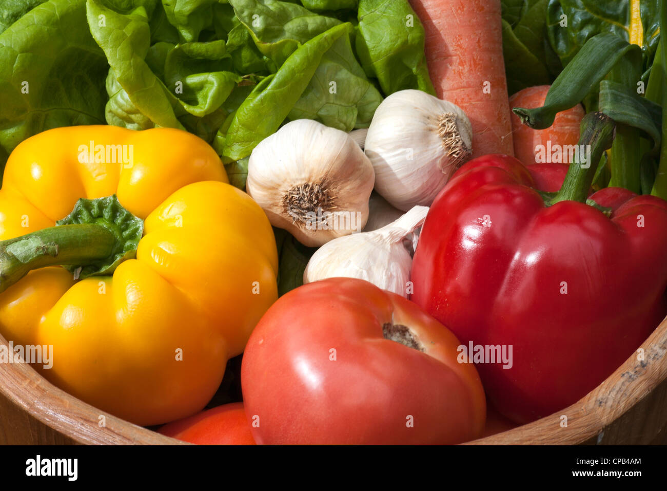 Garlic garden bucket hi-res stock photography and images - Alamy