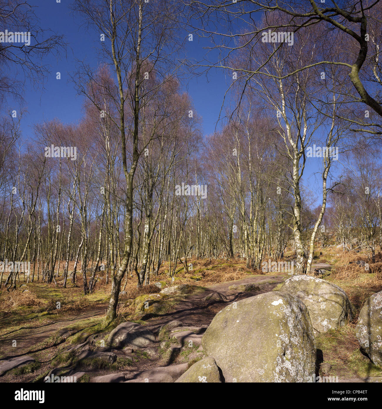 peak district - granite outcrops on millstone edge Stock Photo - Alamy