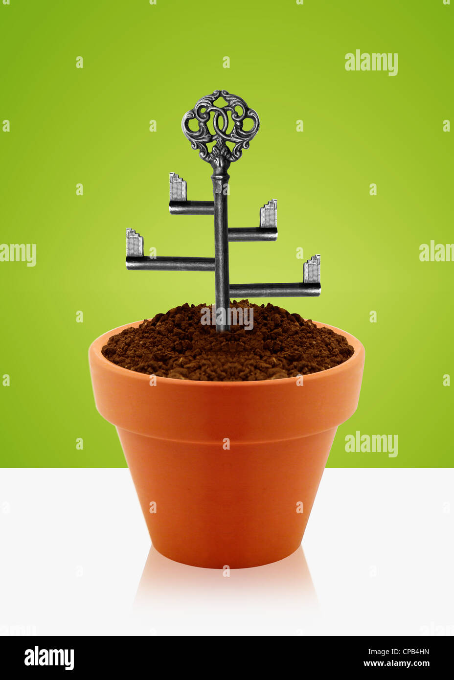 Tree key on garden clay pot Stock Photo - Alamy