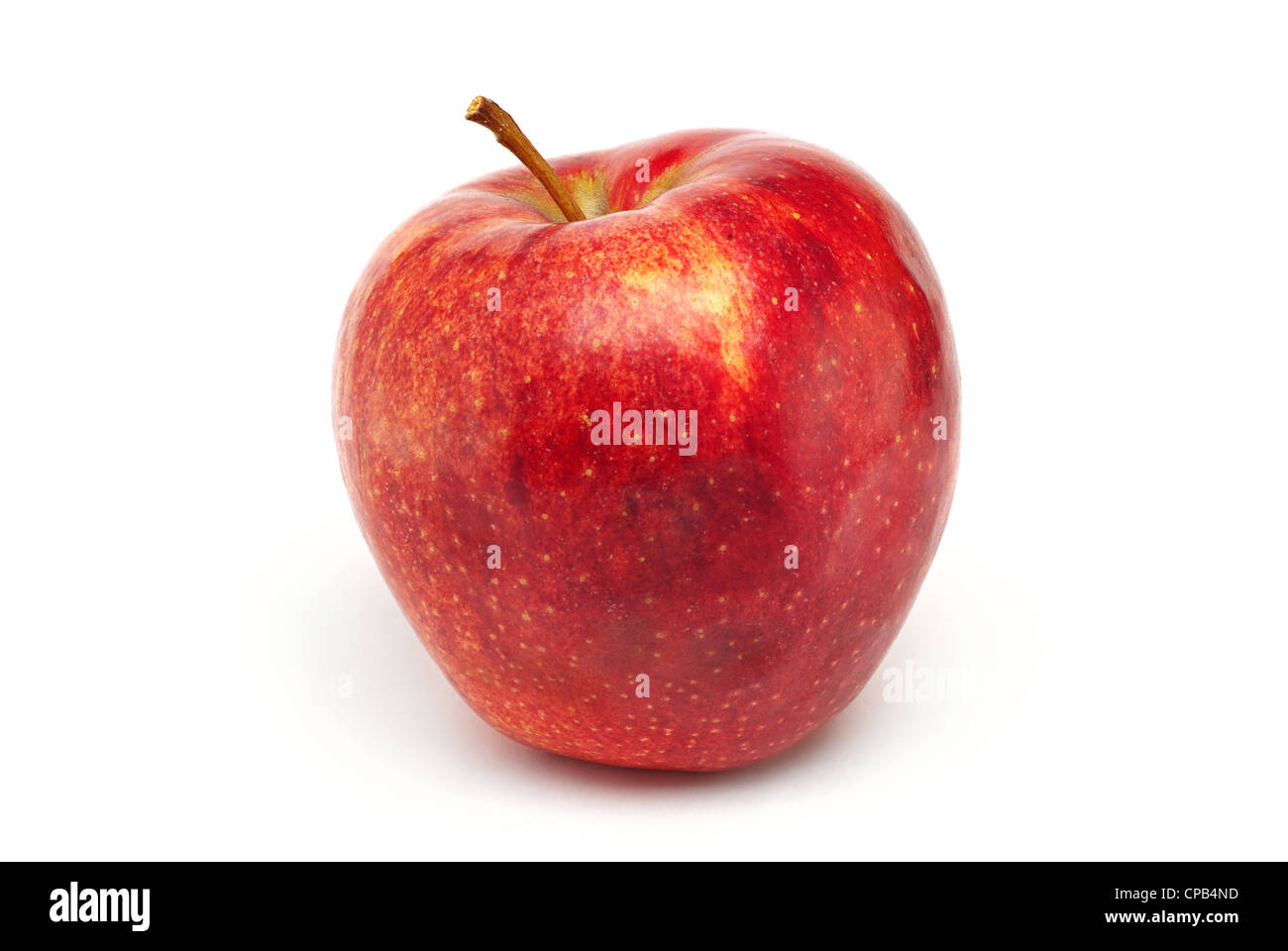 one red apple on white background Stock Photo - Alamy