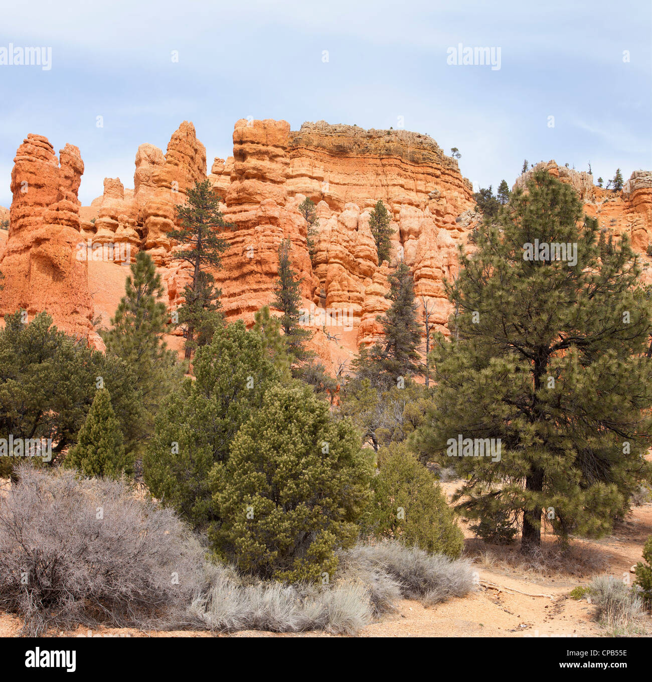 Bryce Canyon National Park, Utah. Sandstone formations in the desert ...