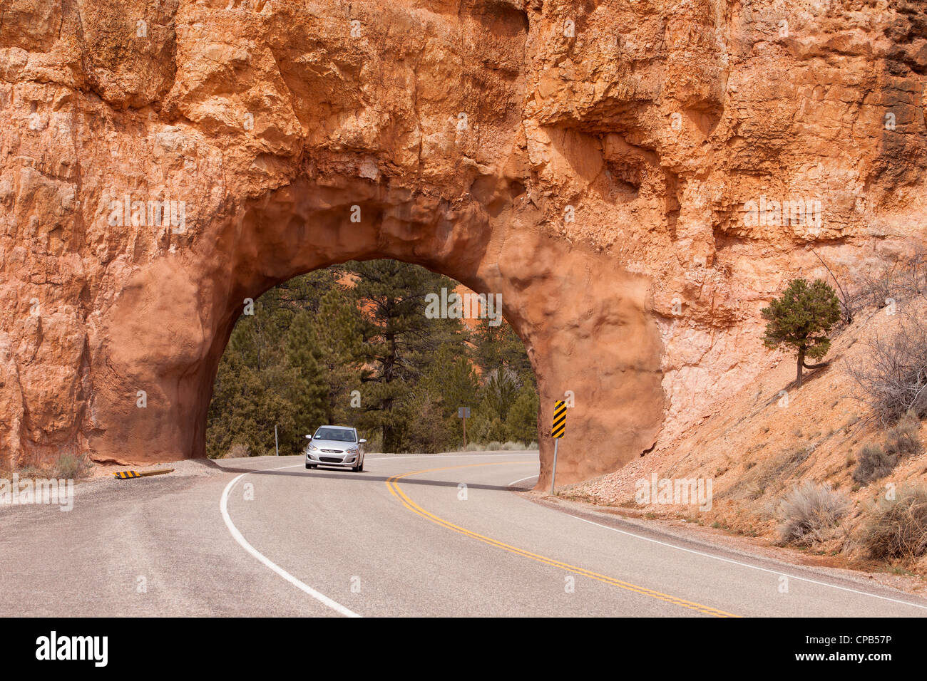 Bryce Canyon National Park, Utah. Sandstone formations in the desert ...
