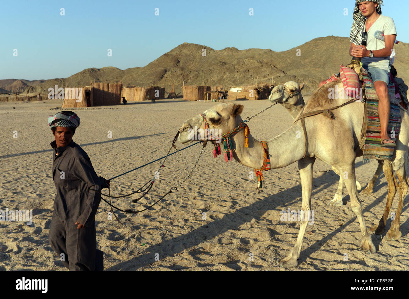 Bedouin guide in traditional clothing leads tourists riding camels in ...