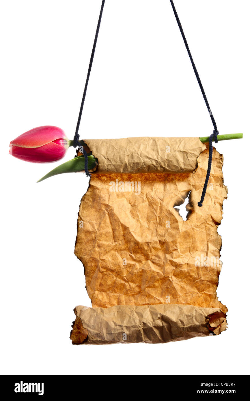 Spring summer sticker design Cut Out Stock Images & Pictures - Alamy