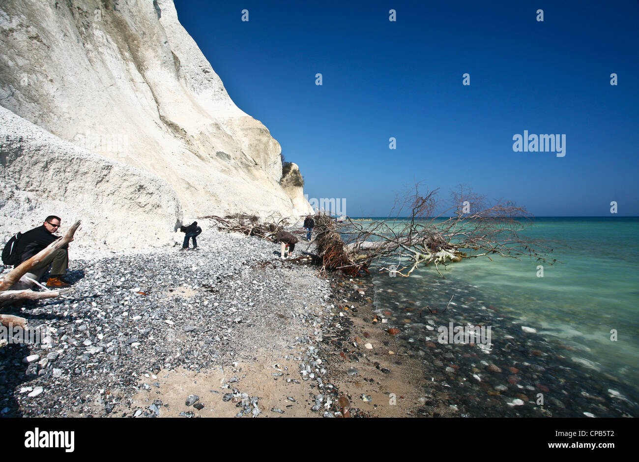 Chalk cliff denmark moen erosion hi-res stock photography and images ...