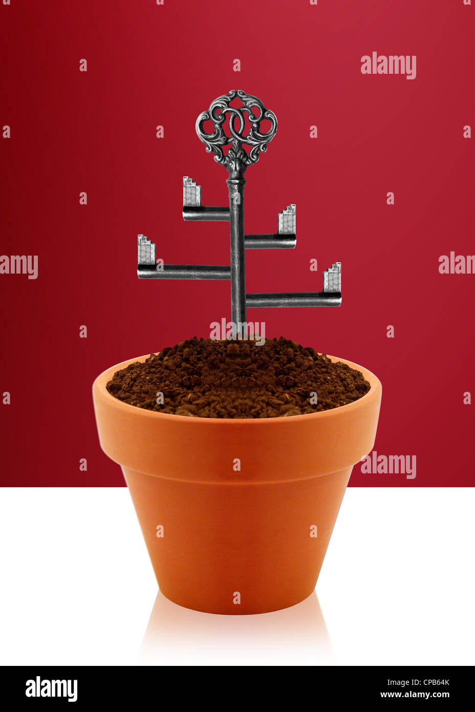 Tree key on garden clay pot Stock Photo - Alamy