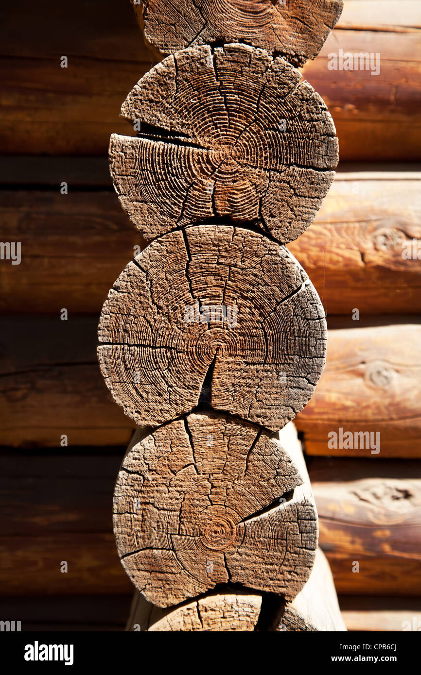 Different logs in section Stock Photo - Alamy