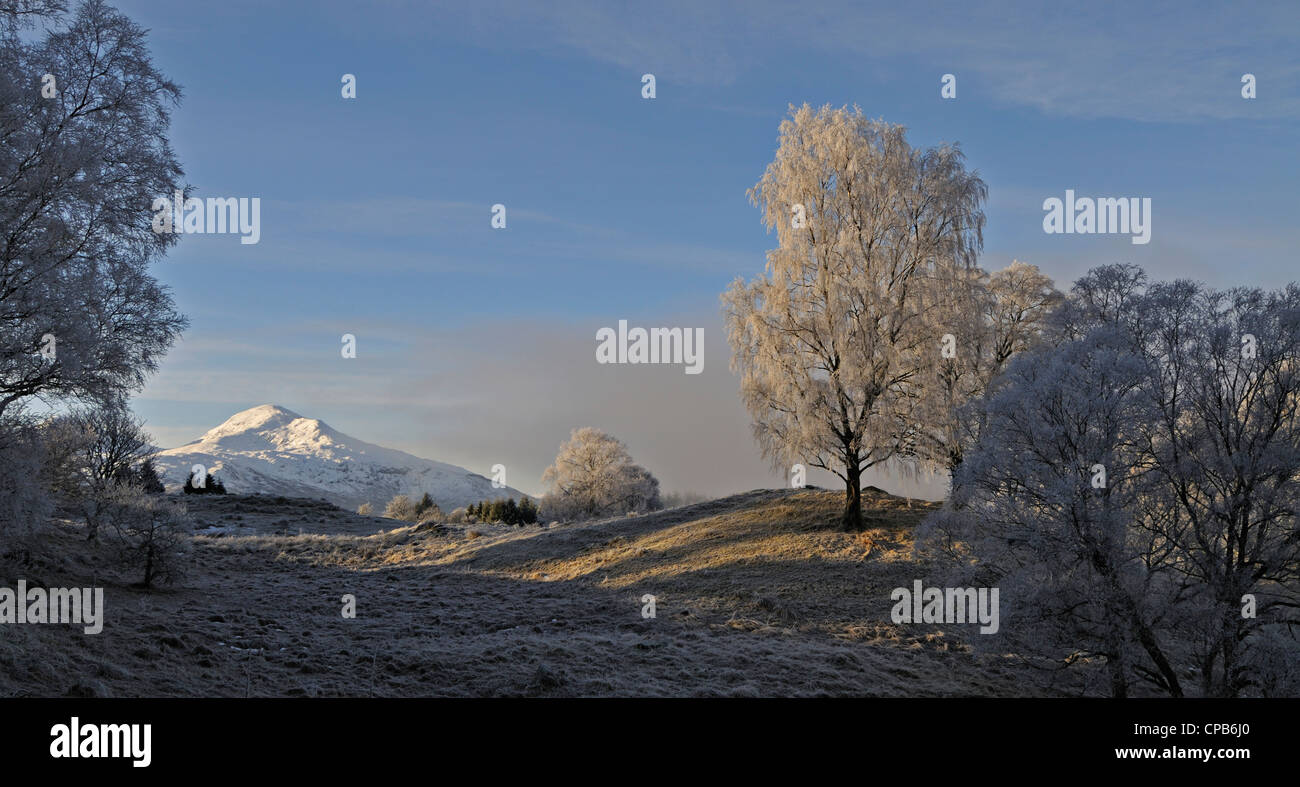 Fine winter morning in Glen Dochart, with frosted backlit trees and ...