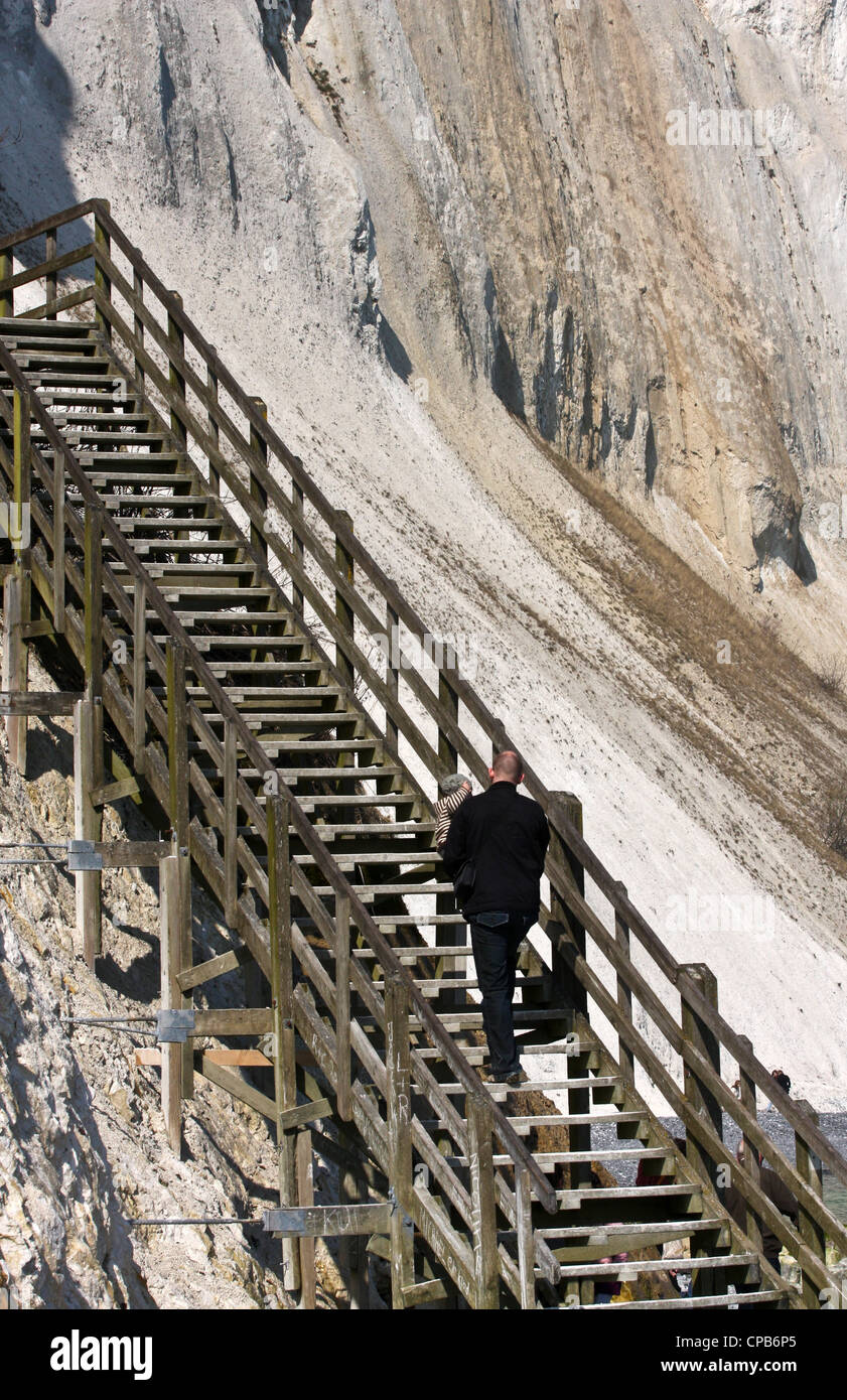 Chalk cliff denmark moen stairway hi-res stock photography and images ...