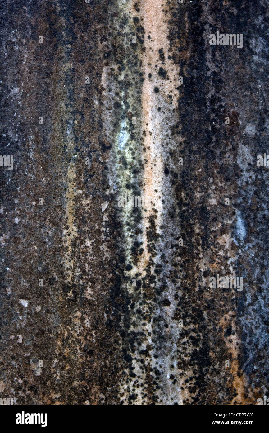 Closeupclose hi-res stock photography and images - Alamy