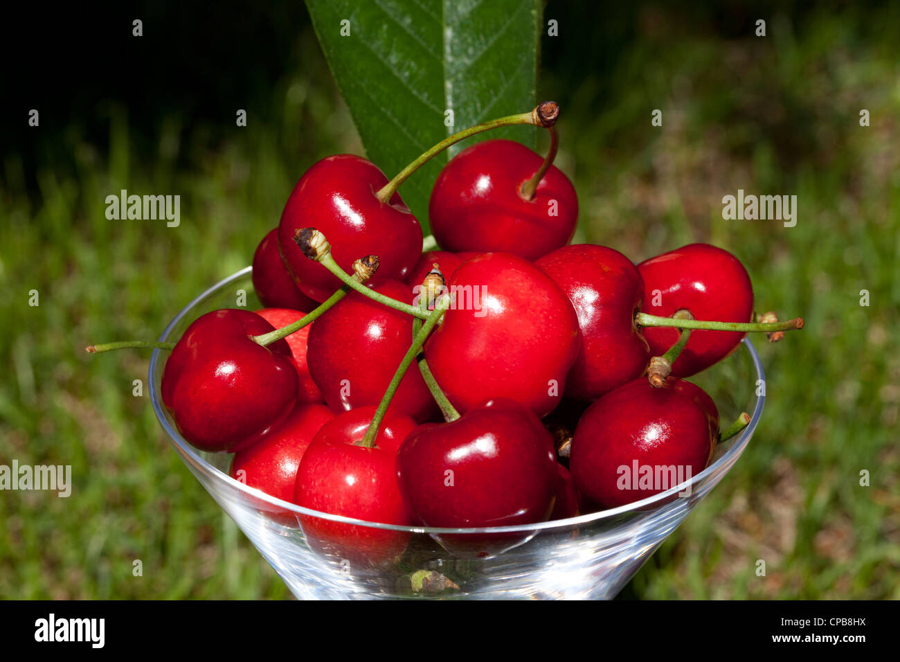 Glass With Cherries Stock Photo - Alamy