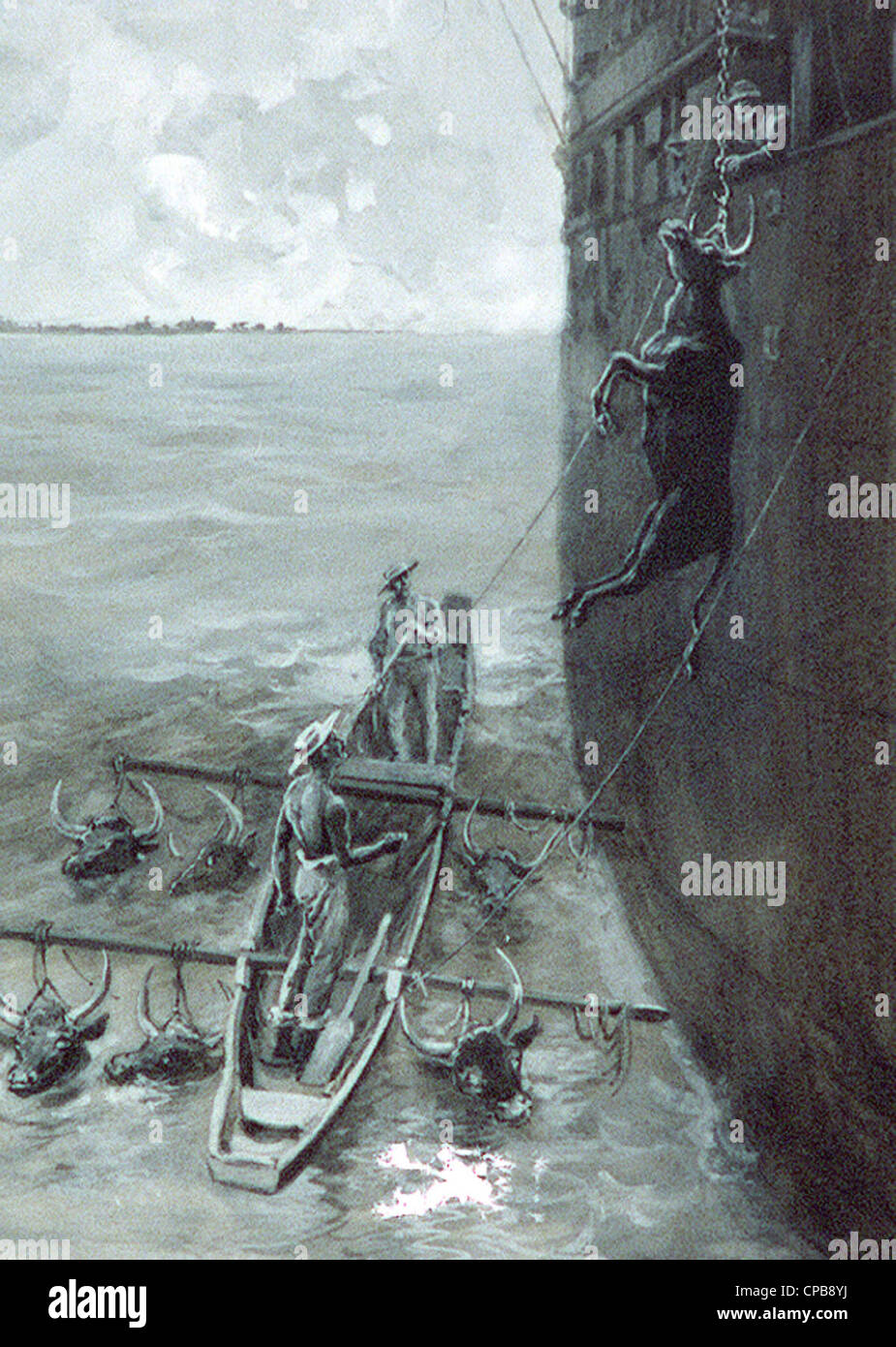 Cattle ship hi-res stock photography and images - Alamy