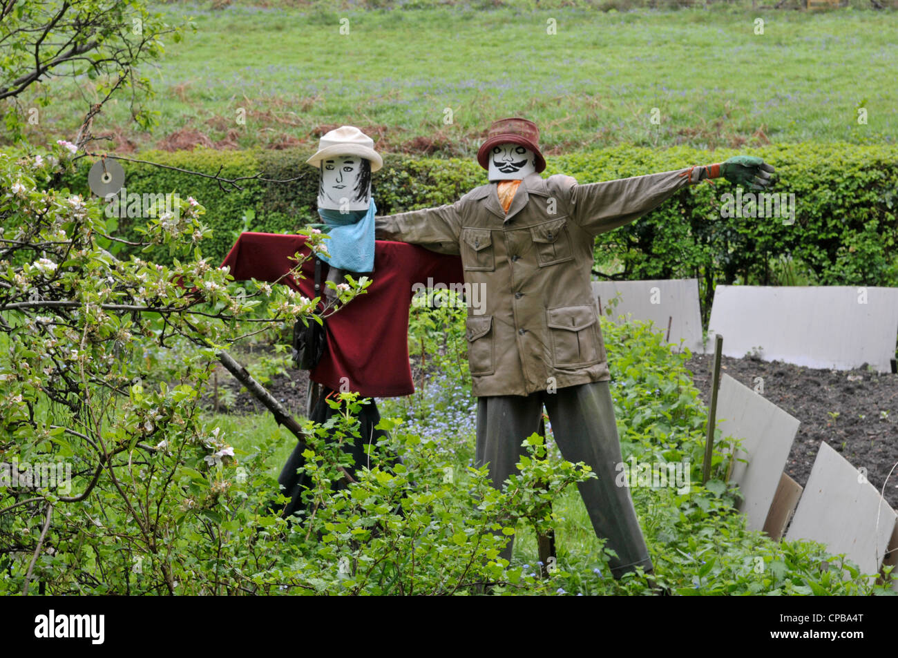 Scarecrows in Vegetable Garden, Surrey, England Stock Photo - Alamy