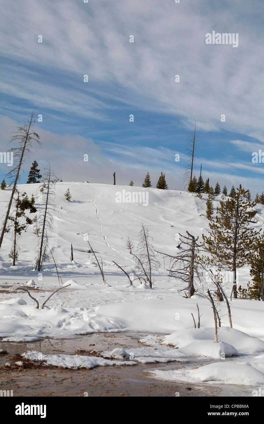 Winter, Upper Geyser Basin, Yellowstone NP, WY Stock Photo - Alamy
