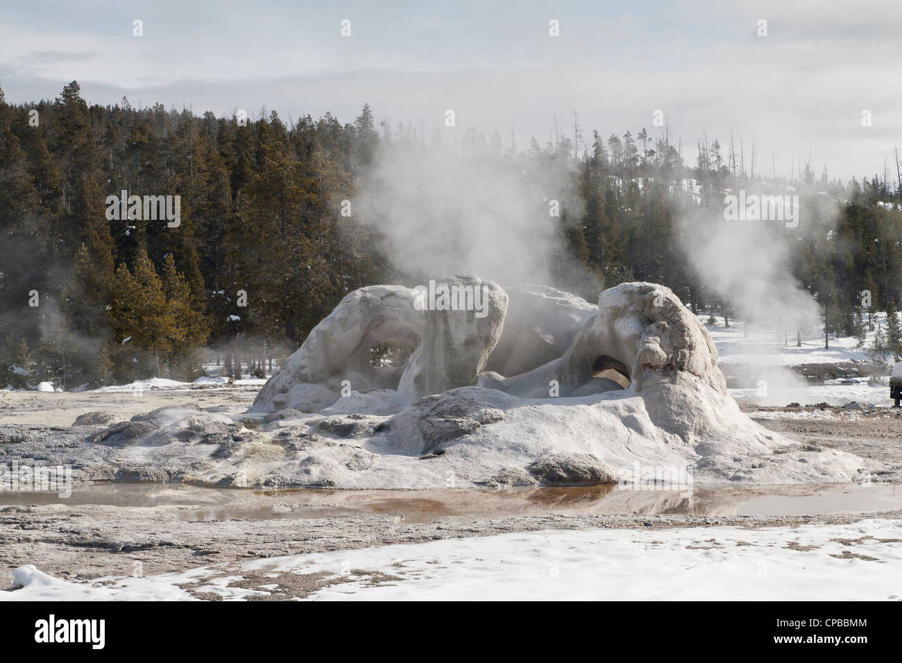 Winter, Grotto Geyser, Yellowstone NP Stock Photo - Alamy
