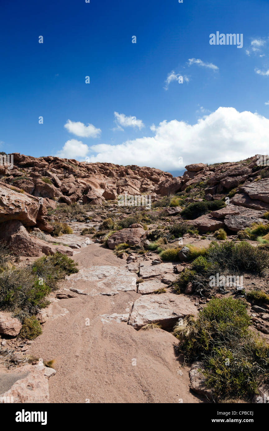 View over the Nacimiento Highlands, San Pedro de Atacama, Chile Stock ...