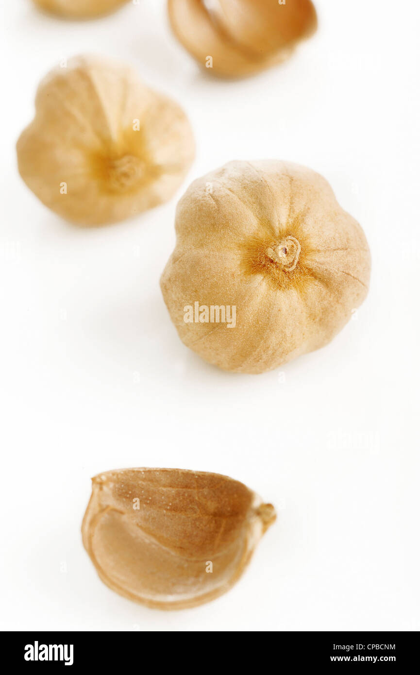 cardamom seed on white background Stock Photo - Alamy
