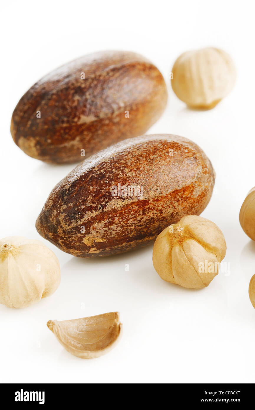 nutmeg and cardamom seed on white background Stock Photo - Alamy