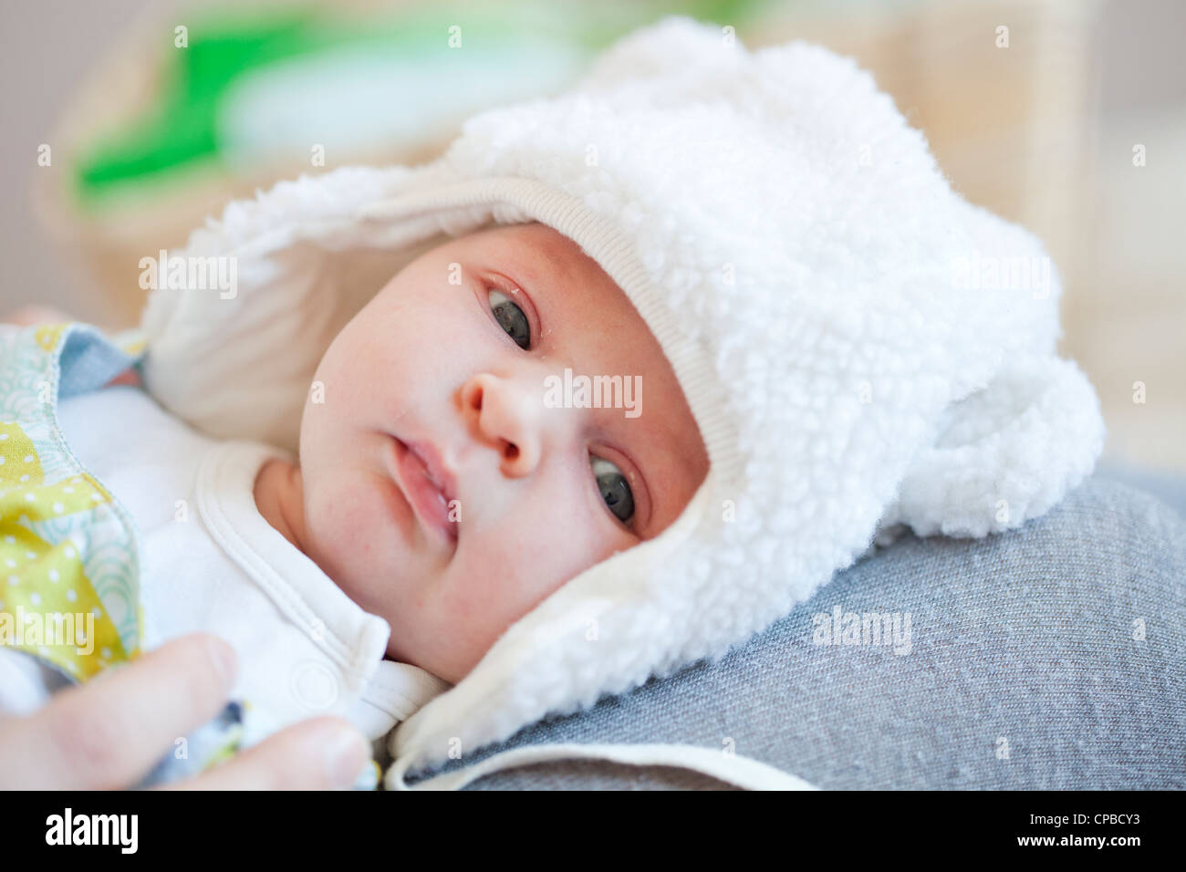Portrait of a cute newborn baby girl lying wearing a fur hat Stock ...