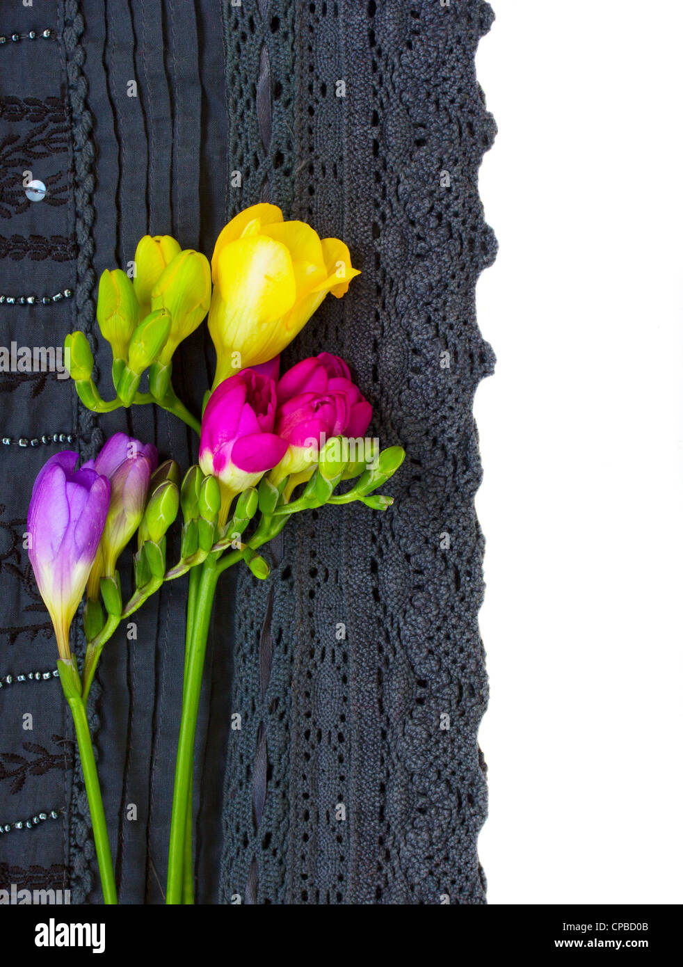 black lace and freesias border isolated on white bacground Stock Photo ...