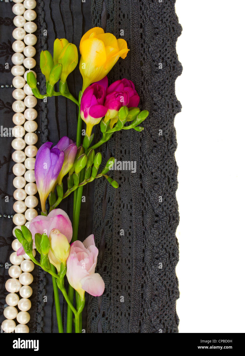 black lace and freesias border isolated on white Stock Photo - Alamy