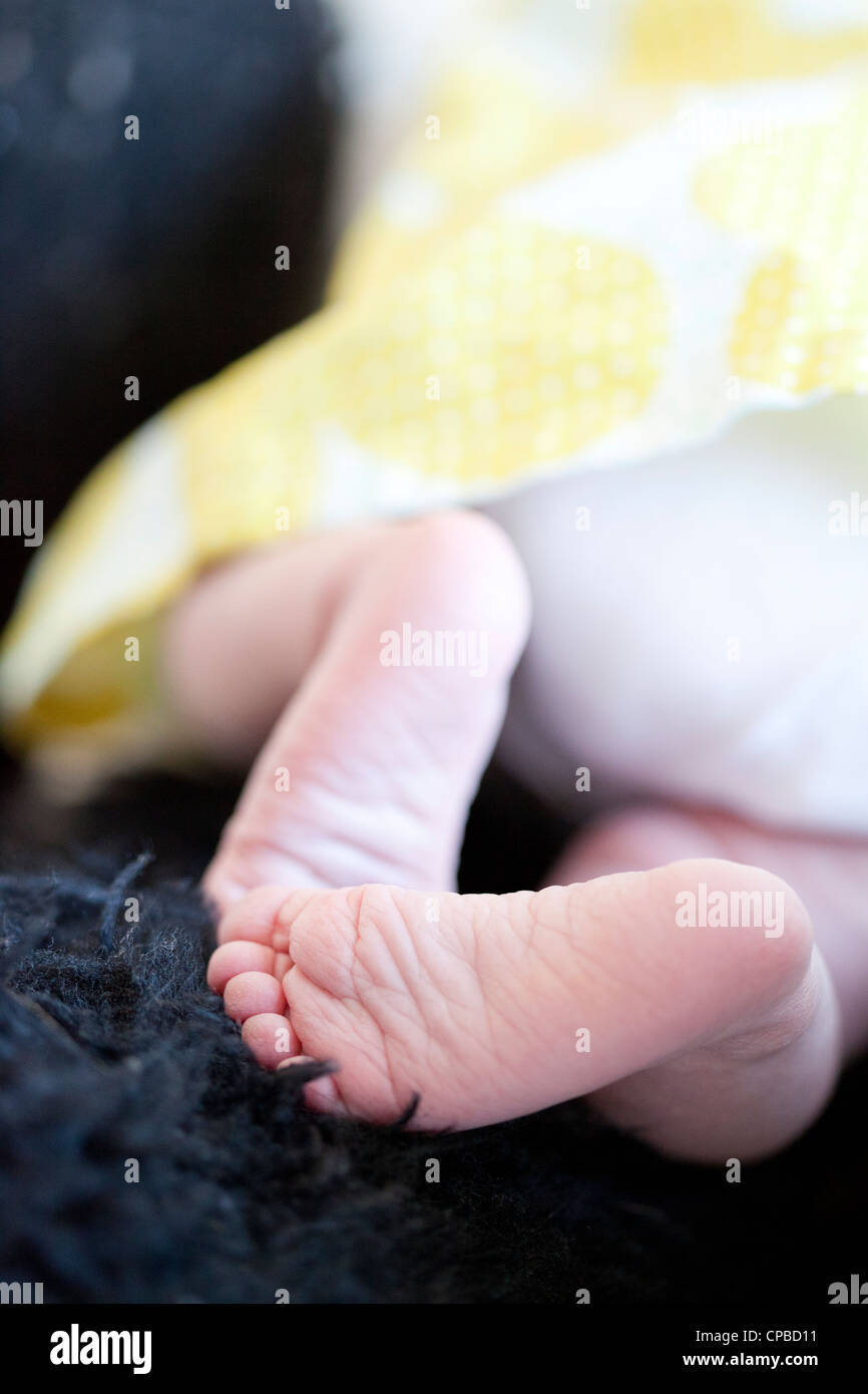 Close-up of cute newborn baby feet and little toes Stock Photo - Alamy