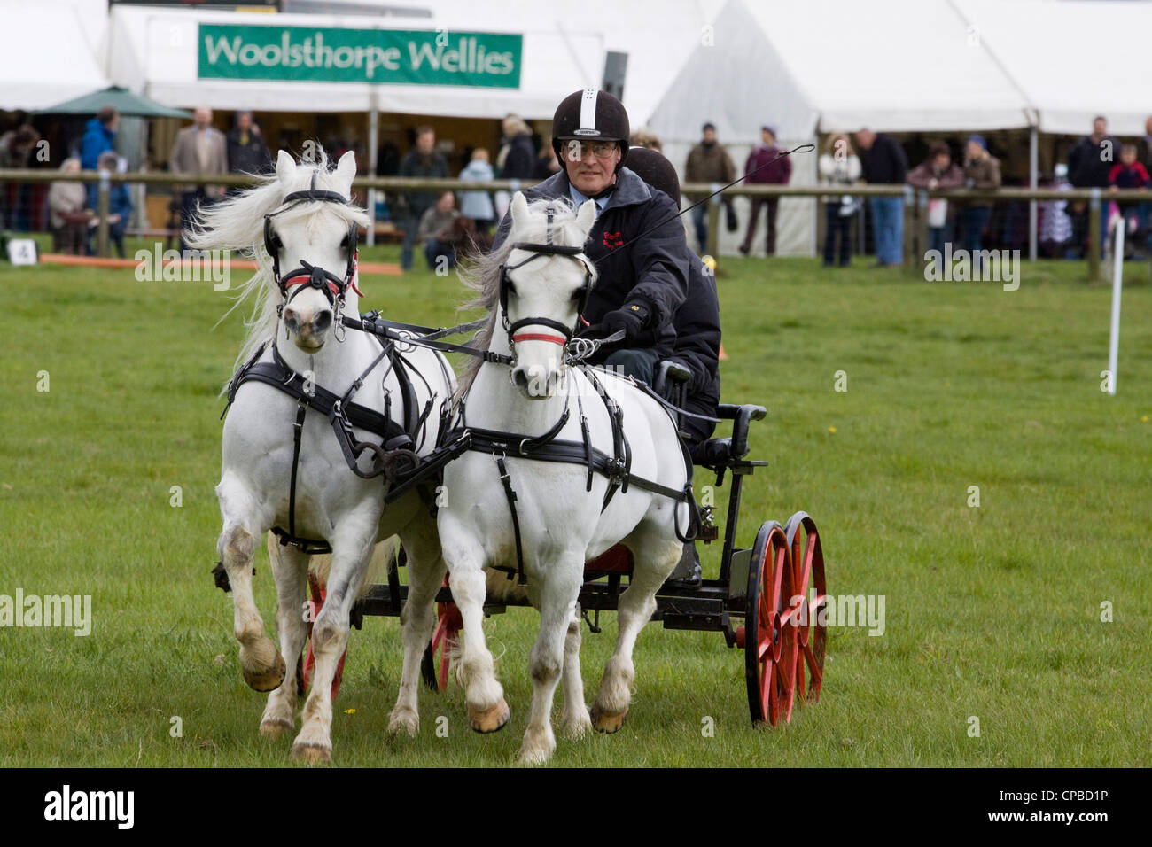 Equestrian sport hi-res stock photography and images - Alamy