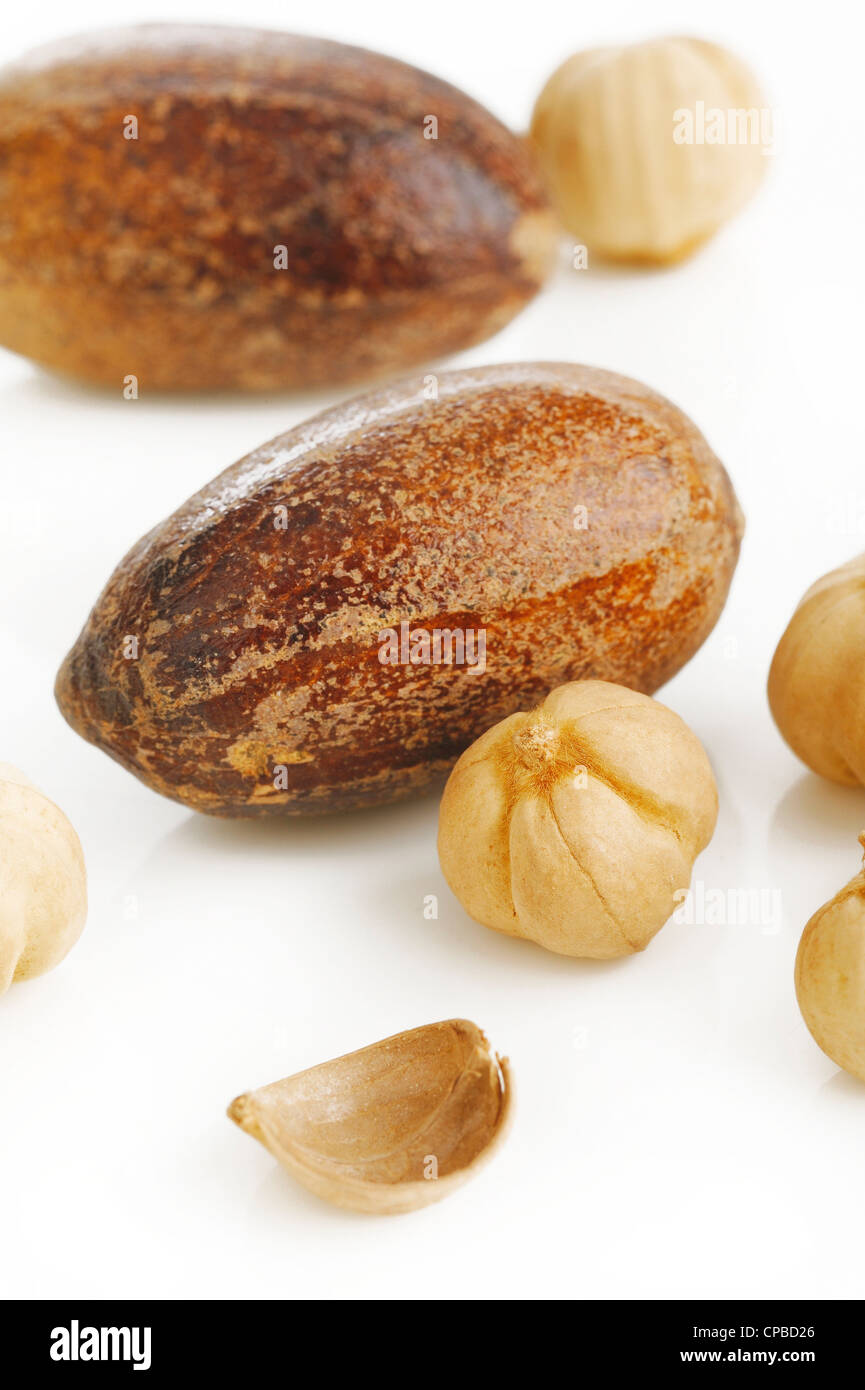 nutmeg and cardamom seed on white background Stock Photo - Alamy