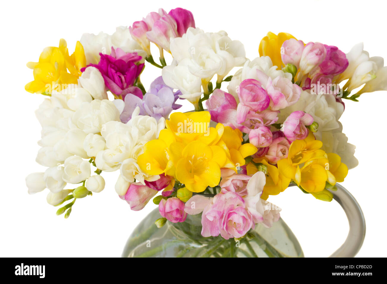 vibrant freesias bouquet Stock Photo - Alamy