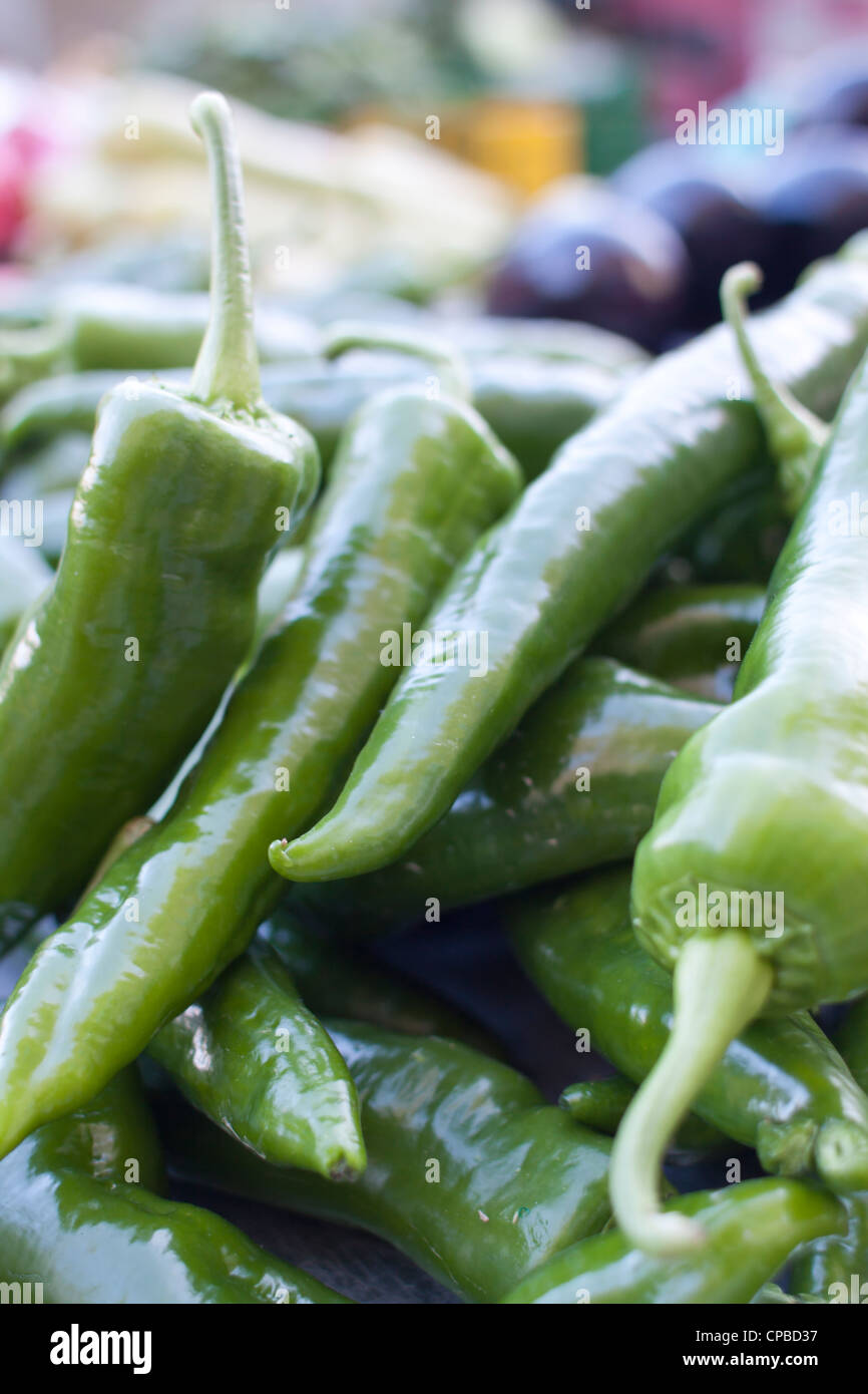 Farm fresh long green chile peppers on display at a farmer's market in ...