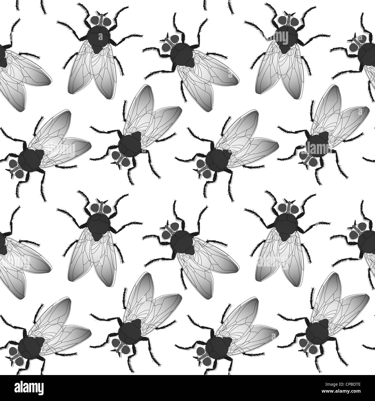 fly seamless texture, abstract pattern; vector art illustration; image ...