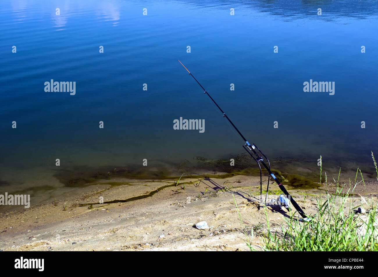 Longing fish hi-res stock photography and images - Alamy