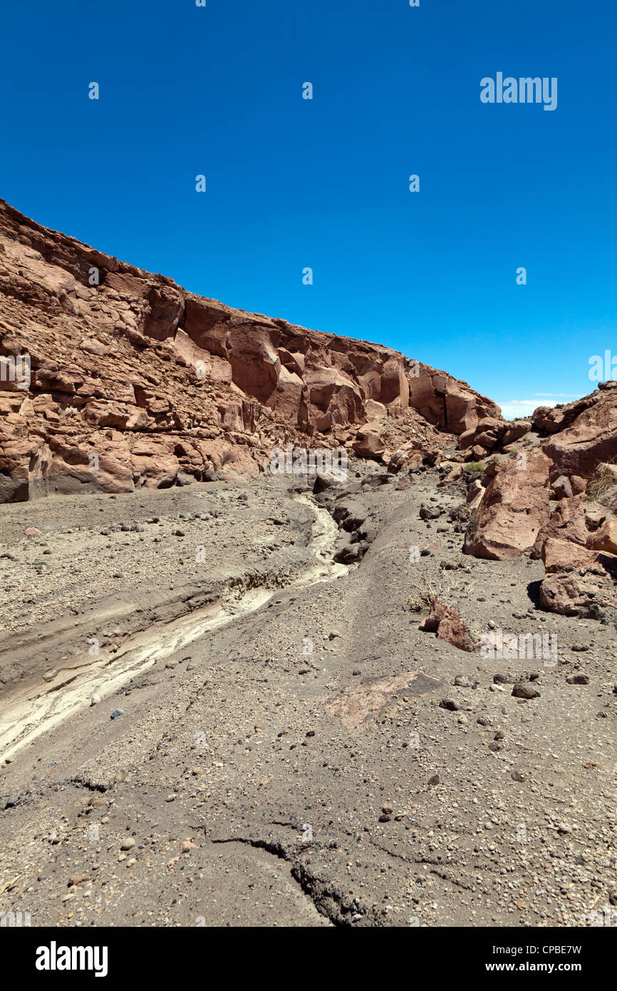 The remote Quezala Ravine, near Talabra, Atacama Desert, Chile Stock ...