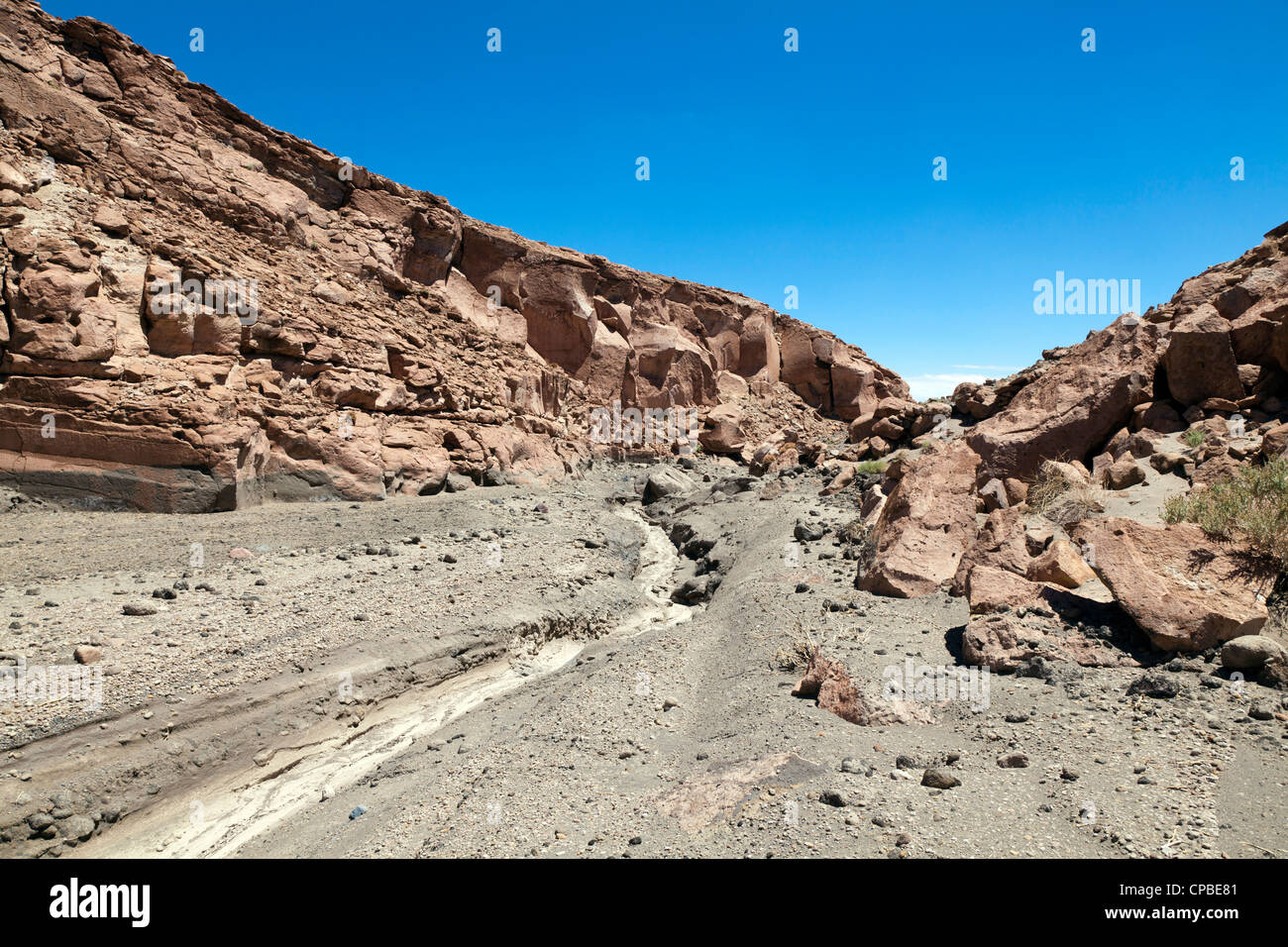 The remote Quezala Ravine, near Talabra, Atacama Desert, Chile Stock ...