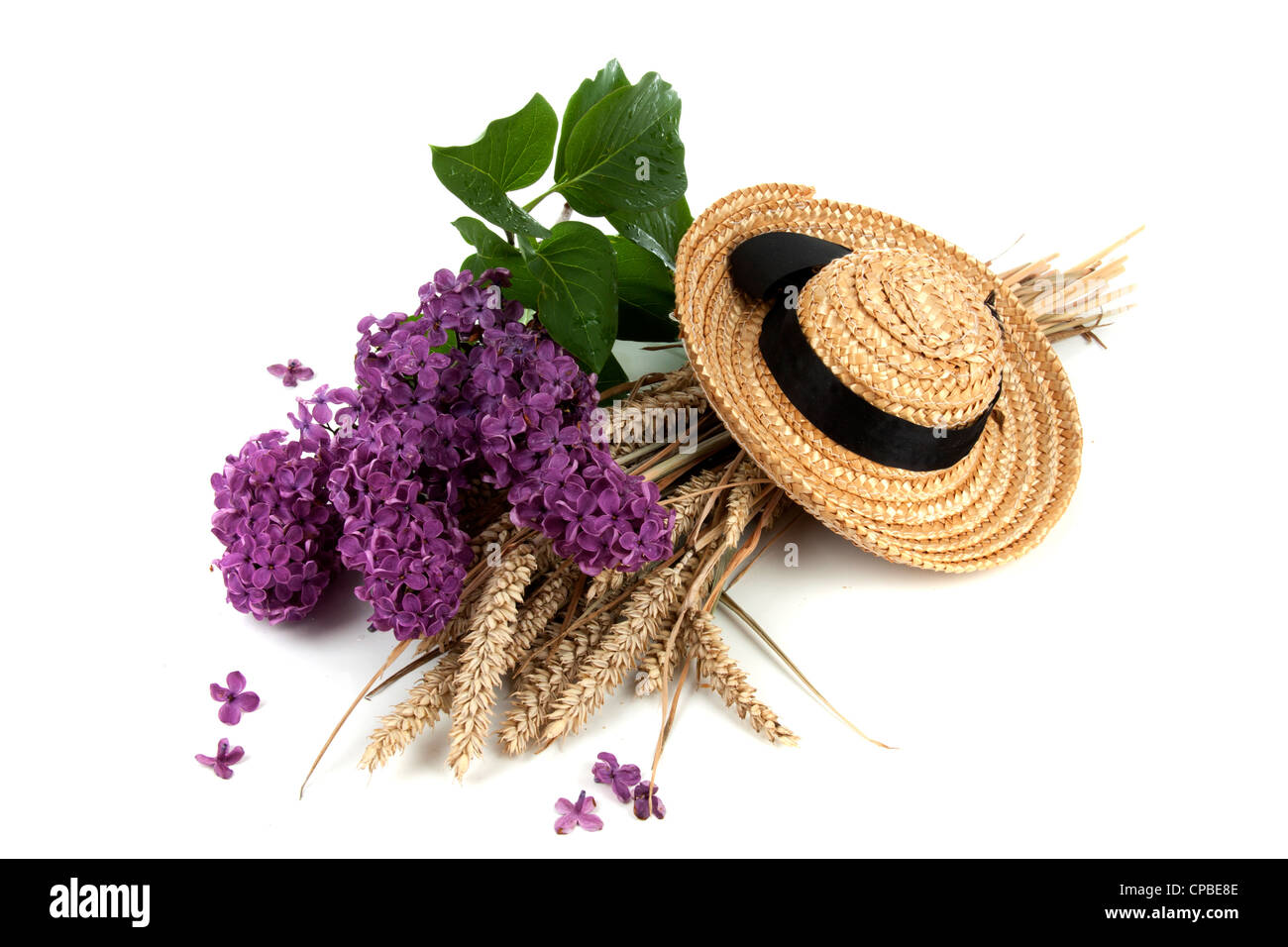 Attributes for a lovely picnic Stock Photo - Alamy
