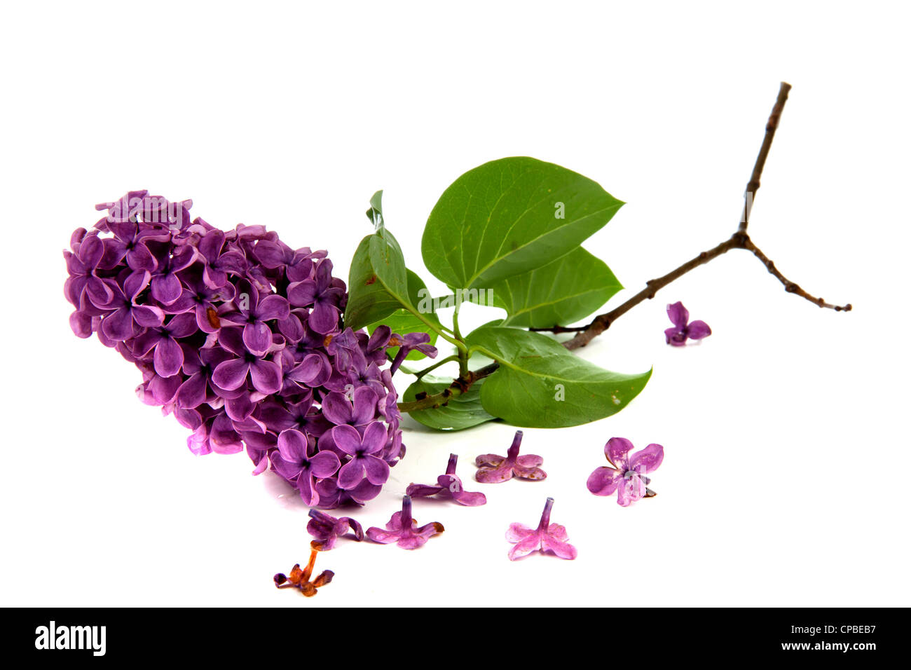 Attributes for a lovely picnic Stock Photo - Alamy