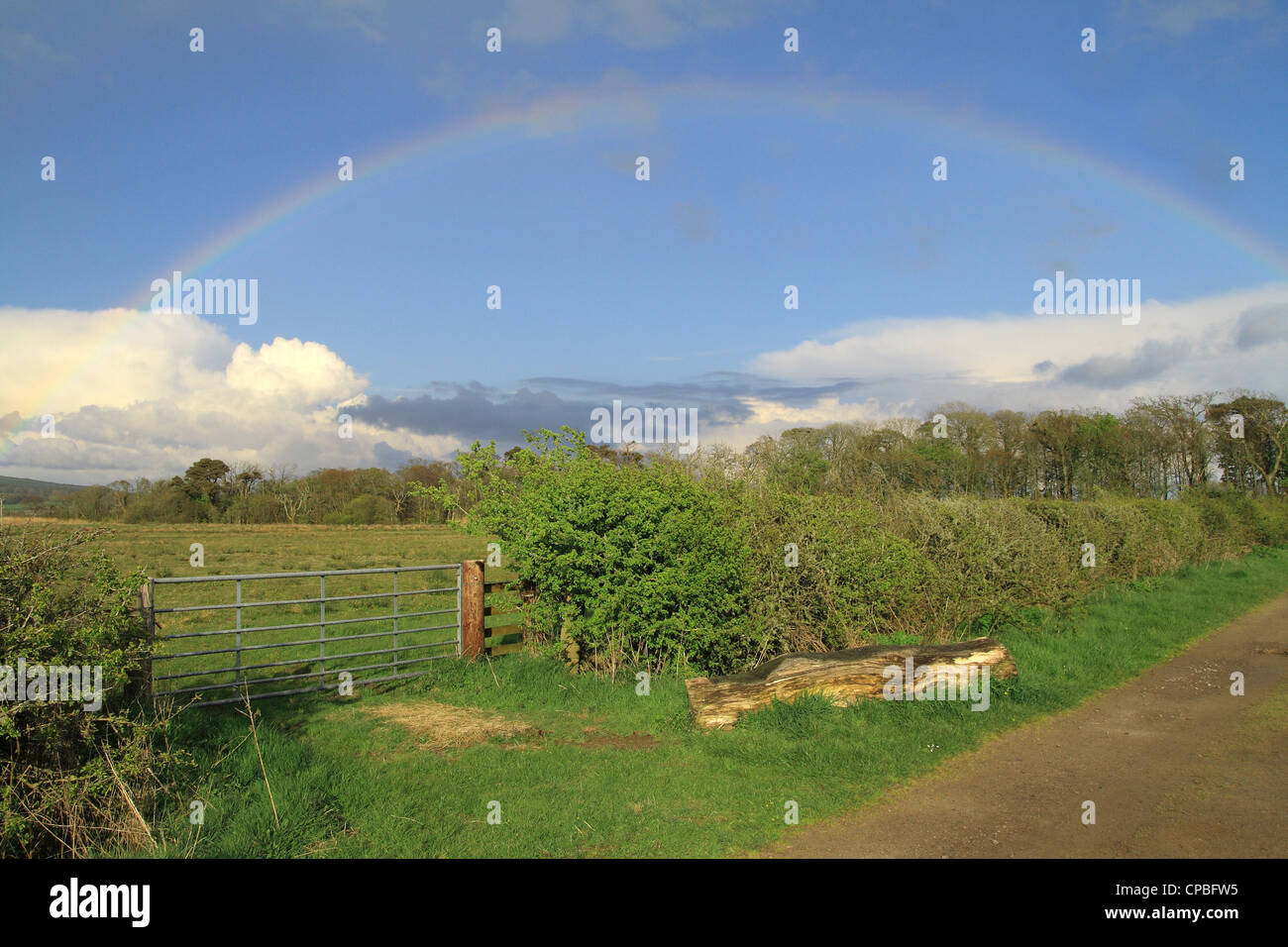 Mersehead rspb reserve hi-res stock photography and images - Alamy
