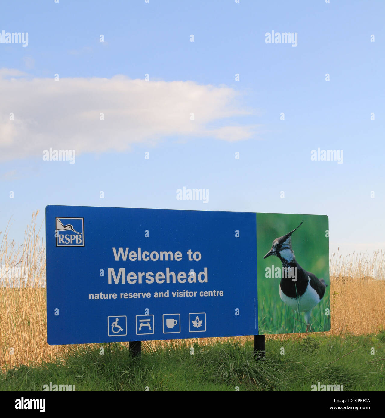 Mersehead Rspb Reserve High Resolution Stock Photography and Images - Alamy