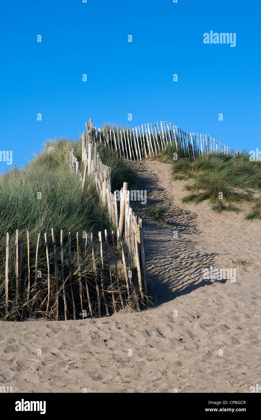 sand dunes, Bantham, South Hams, Devon, England.sand dunes, Bantham ...