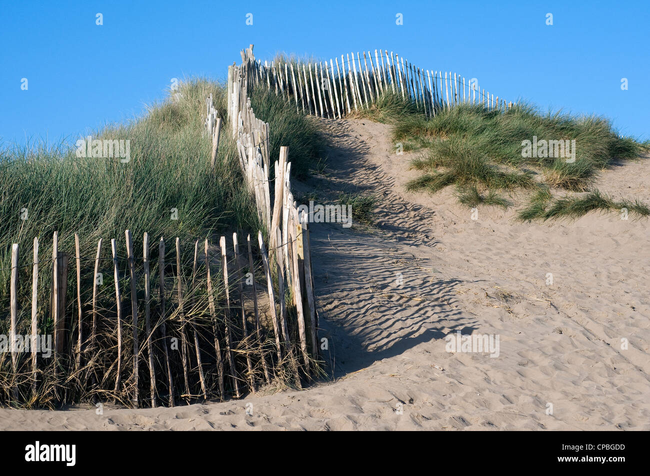 sand dunes, Bantham, South Hams, Devon, England.Bantham Bay,South Hams ...