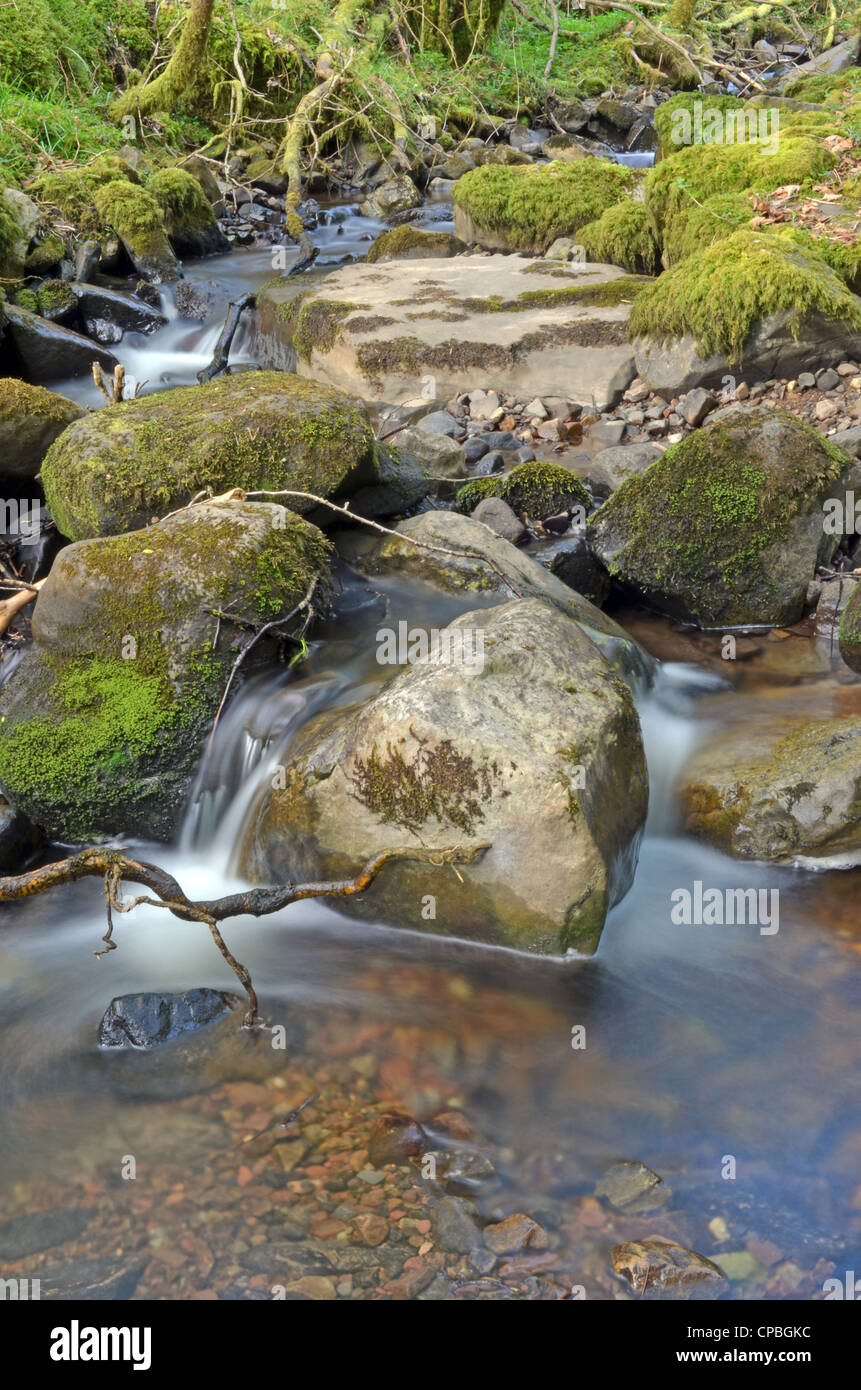 Llwyn on reservoir cwm cadlan number 3167 Stock Photo - Alamy