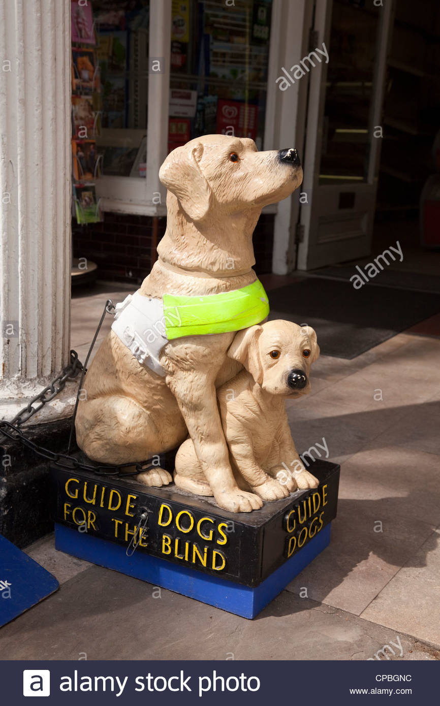 Guide Dogs Stock Photos & Guide Dogs Stock Images - Alamy
