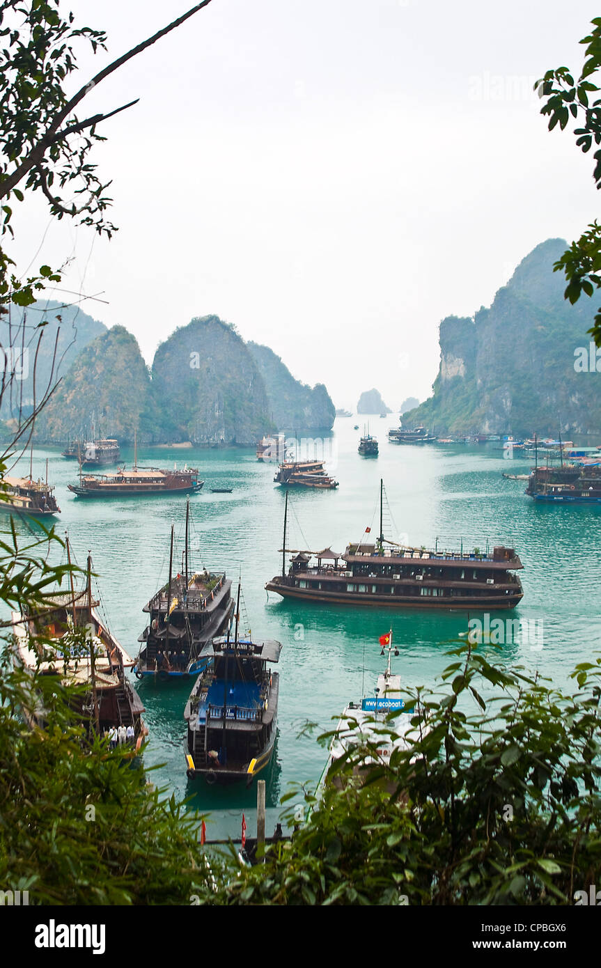 Vertical aerial view of one of many bays in Halong Bay bustling with ...