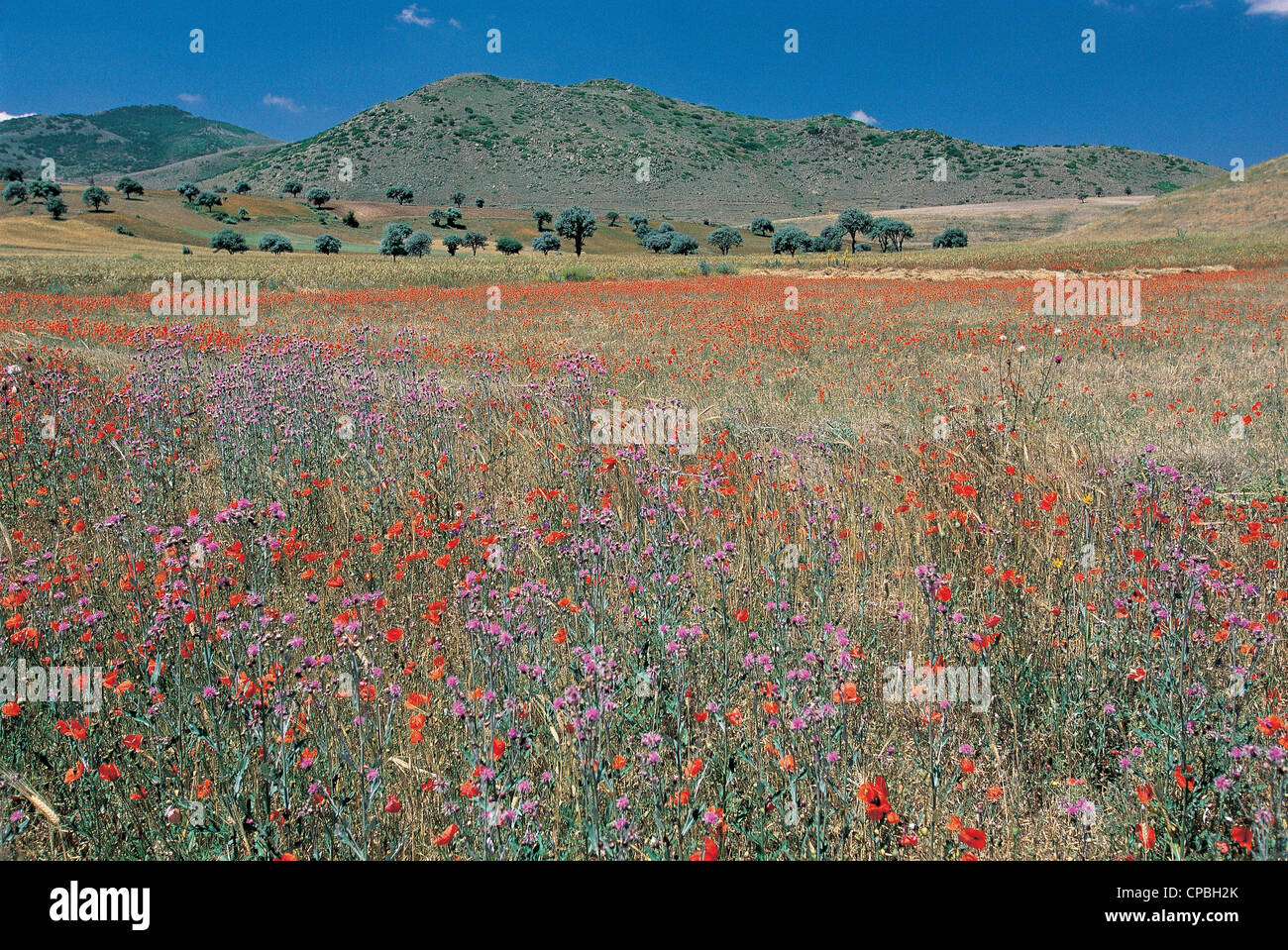 Turkey attraction images photos sightseeing places scene scenic hi-res ...