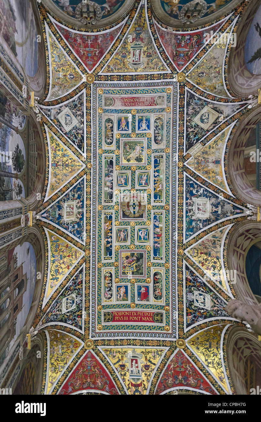 Siena, Italy.The Duomo, cathedral. Ceiling Stock Photo - Alamy