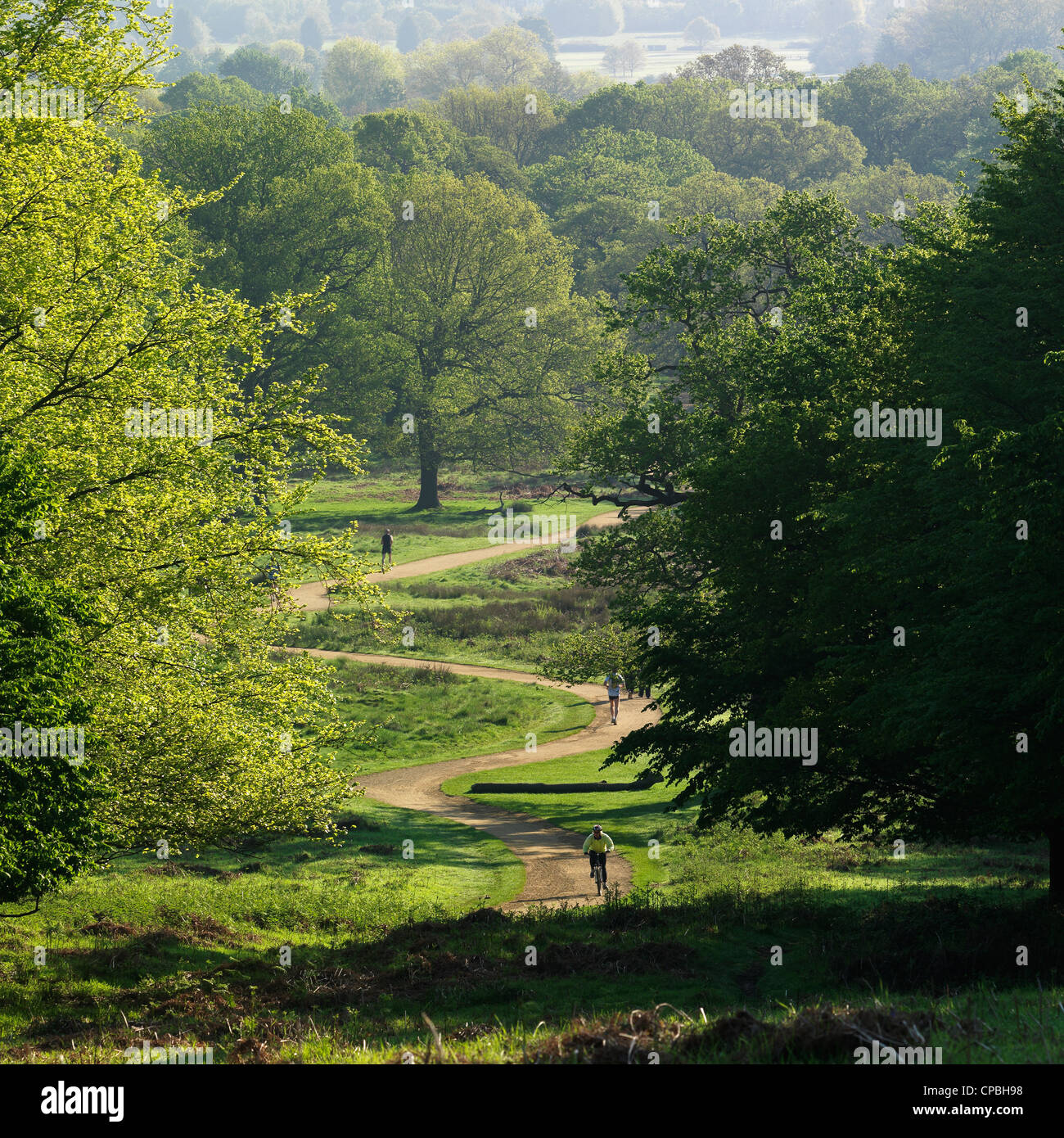 Winding path richmond park hi-res stock photography and images - Alamy