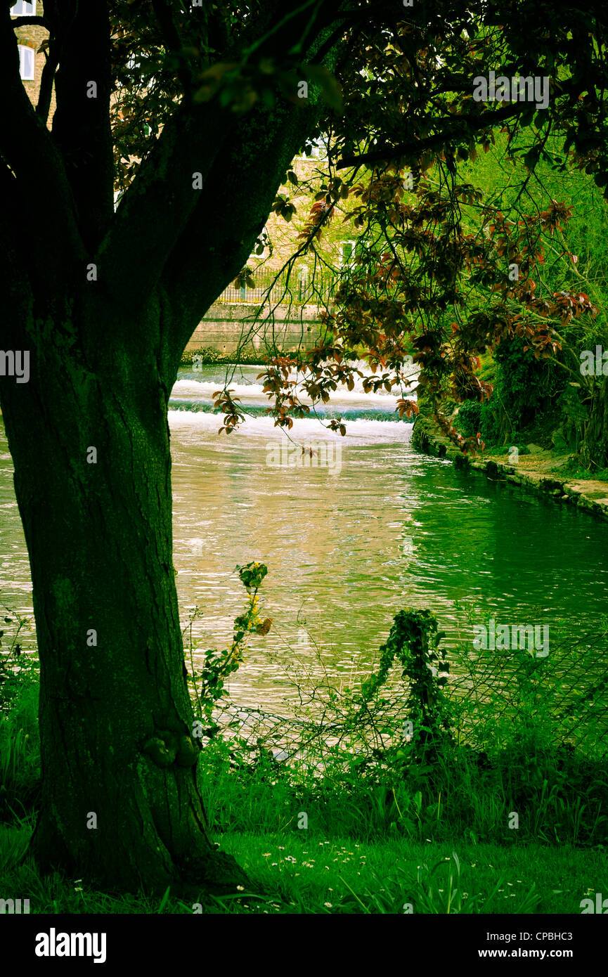 English River In Spring Stock Photo - Alamy